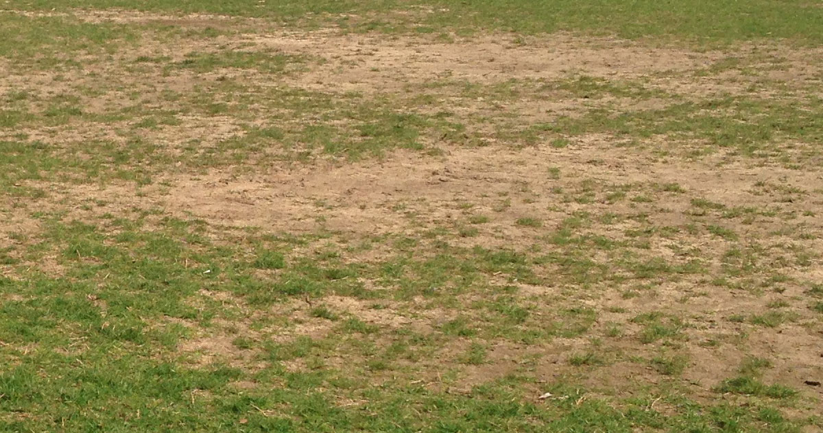 The key to turf stress management